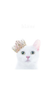 &nbsp;&nbsp;&nbsp; 【CD＋DVD】BEST　SELECTION　“blanc”　初回生産限定盤B の詳細 発売元: 株式会社ソニー・ミュージックレーベルズ　エスエムイーレコーズ アーティスト名: Aimer カナ: ベス...