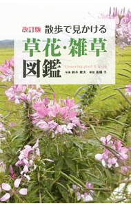 &nbsp;&nbsp;&nbsp; "散歩で見かける草花・雑草図鑑 " の詳細 出版社: 創英社 レーベル: 作者: 鈴木庸夫 カナ: サンポデミカケルクサバナザッソウズカン / スズキイサオ サイズ: 新書 関連商品リンク : 鈴木庸夫...
