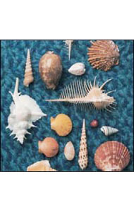 &nbsp;&nbsp;&nbsp; CYCLE　HIT　1991−1997　Spitz　Complete　Single　Collection の詳細 発売元: ユニバーサルミュージック アーティスト名: スピッツ カナ: サイクルヒット1...