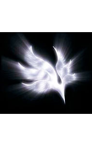 &nbsp;&nbsp;&nbsp; orbital　period の詳細 付属品: スリーブケース・ブックレット付 発売元: バップ アーティスト名: BUMP　OF　CHICKEN カナ: オービタルピリオド / バンプオブチキン ディ...