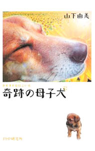 &nbsp;&nbsp;&nbsp; 奇跡の母子犬 単行本 の詳細 出版社: PHP研究所 レーベル: 作者: 山下由美 カナ: キセキノハハコイヌ / ヤマシタユミ サイズ: 単行本 ISBN: 9784569687766 発売日: 20...