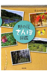 &nbsp;&nbsp;&nbsp; 野の花さんぽ図鑑 単行本 の詳細 出版社: 築地書館 レーベル: 作者: 長谷川哲雄 カナ: ノノハナサンポズカン / ハセガワテツオ サイズ: 単行本 ISBN: 9784806713791 発売日:...