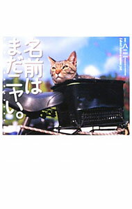 &nbsp;&nbsp;&nbsp; 名前はまだニャい。 単行本 の詳細 出版社: TOKIMEKIパブリッシング レーベル: 作者: 八二一 カナ: ナマエワマダニャイ / ハニハジメ サイズ: 単行本 ISBN: 97840489516...