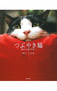 &nbsp;&nbsp;&nbsp; つぶやき猫 新書 の詳細 出版社: 世界文化社 レーベル: 作者: こてち カナ: ツブヤキネコ / コテチ サイズ: 新書 ISBN: 9784418102372 発売日: 2010/11/01 関連...