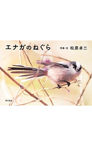 &nbsp;&nbsp;&nbsp; エナガのねぐら 単行本 の詳細 出版社: 東京書籍 レーベル: 作者: 松原卓二 カナ: エナガノネグラ / マツバラタクジ サイズ: 単行本 ISBN: 4487808328 発売日: 2013/12...