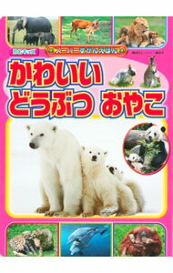 &nbsp;&nbsp;&nbsp; かわいいどうぶつおやこ 単行本 の詳細 出版社: 講談社 レーベル: BCキッズスーパーずかんえほん 作者: カナ: カワイイドウブツオヤコ / サイズ: 単行本 ISBN: 4063585667 発売...