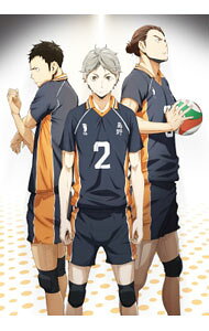 &nbsp;&nbsp;&nbsp; 【Blu−ray】ハイキュー！！　vol．6　特典CD・ライナーノーツ付 の詳細 発売元: 東宝 カナ: ハイキュー6ブルーレイディスク / ミツナカススム ディスク枚数: 1枚 品番: TBR2435...
