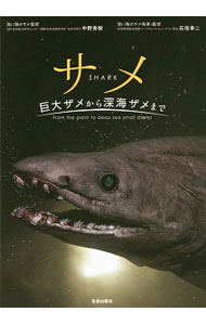 &nbsp;&nbsp;&nbsp; サメ 単行本 の詳細 出版社: 笠倉出版社 レーベル: 作者: 中野秀樹 カナ: サメ / ナカノヒデキ サイズ: 単行本 ISBN: 4773087208 発売日: 2014/07/01 関連商品リン...