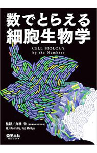 &nbsp;&nbsp;&nbsp; 数でとらえる細胞生物学 単行本 の詳細 出版社: 羊土社 レーベル: 作者: MiloRon カナ: カズデトラエルサイボウセイブツガク / RonMilo サイズ: 単行本 ISBN: 4758121...