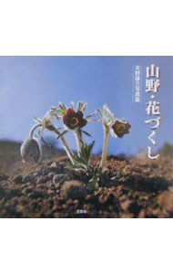 &nbsp;&nbsp;&nbsp; "山野・花づくし " の詳細 出版社: 文芸社 レーベル: 作者: 天野雄介 カナ: サンヤハナズクシ / アマノユウスケ サイズ: 単行本 関連商品リンク : 天野雄介 文芸社
