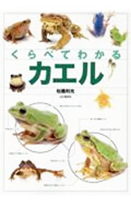 &nbsp;&nbsp;&nbsp; くらべてわかるカエル 単行本 の詳細 出版社: 山と溪谷社 レーベル: 作者: 松橋利光 カナ: クラベテワカルカエル / マツハシトシミツ サイズ: 単行本 ISBN: 4635063500 発売日:...