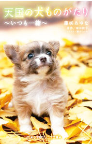 &nbsp;&nbsp;&nbsp; 天国の犬ものがたり 新書 の詳細 出版社: 小学館 レーベル: 小学館ジュニア文庫 作者: 堀田敦子 カナ: テンゴクノイヌモノガタリ / ホッタアツコ サイズ: 新書 ISBN: 4092313811...