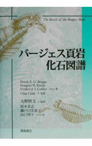 &nbsp;&nbsp;&nbsp; バージェス頁岩化石図譜 単行本 の詳細 出版社: 朝倉書店 レーベル: 作者: Clark Chip カナ: バージェスケツガンカセキズフ / CHIPCLARK サイズ: 単行本 ISBN: 4254...