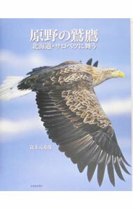 &nbsp;&nbsp;&nbsp; 原野の鷲鷹 単行本 の詳細 出版社: 北海道新聞社 レーベル: 作者: 富士元寿彦 カナ: ゲンヤノワシタカ / フジモトトシヒコ サイズ: 単行本 ISBN: 4894533359 発売日: 2005...