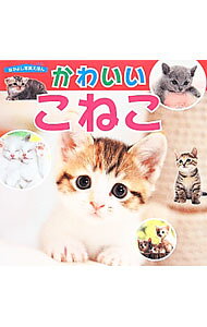 &nbsp;&nbsp;&nbsp; かわいいこねこ 単行本 の詳細 出版社: 永岡書店 レーベル: なかよし写真えほん 作者: 福田豊文 カナ: カワイイコネコ / フクダトヨフミ サイズ: 単行本 ISBN: 4522432464 発売...