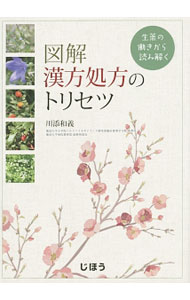 &nbsp;&nbsp;&nbsp; 図解漢方処方のトリセツ 単行本 の詳細 出版社: じほう レーベル: 作者: 川添和義 カナ: ズカイカンポウショホウノトリセツ / カワゾエカズヨシ サイズ: 単行本 ISBN: 4840746236...