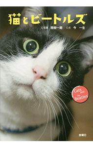 &nbsp;&nbsp;&nbsp; 猫とビートルズ 単行本 の詳細 出版社: 金曜日 レーベル: 作者: 雨樹一期 カナ: ネコトビートルズ / アマキイチゴ サイズ: 単行本 ISBN: 4865720167 発売日: 2016/12/...