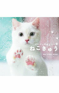 &nbsp;&nbsp;&nbsp; ねこきゅう 単行本 の詳細 出版社: 東京書店 レーベル: 作者: 小川晃代 カナ: ネコキュウ / オガワアキヨ サイズ: 単行本 ISBN: 4885740688 発売日: 2017/12/01 関...