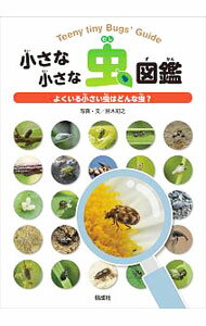 &nbsp;&nbsp;&nbsp; 小さな小さな虫図鑑 単行本 の詳細 出版社: 偕成社 レーベル: 作者: 鈴木知之 カナ: チイサナチイサナムシズカン / スズキトモユキ サイズ: 単行本 ISBN: 4035285304 発売日: ...