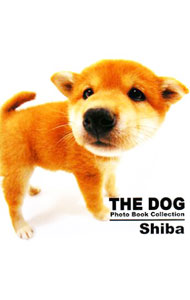 &nbsp;&nbsp;&nbsp; THE　DOG　Photo　Book　Collection　Shiba 単行本 の詳細 出版社: ゴマブックス レーベル: 作者: アーリストインターナショナル カナ: ザドッグフォトブックコレクション...
