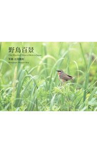 &nbsp;&nbsp;&nbsp; "野鳥百景 " の詳細 出版社: ラトルズ レーベル: 作者: 庄司雅則 カナ: ヤチョウヒャッケイ / ショウジマサノリ サイズ: 単行本 関連商品リンク : 庄司雅則 ラトルズ