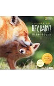 &nbsp;&nbsp;&nbsp; HEY，BABY！野生動物の子どもたち 単行本 の詳細 出版社: エムディエヌコーポレーション レーベル: 作者: DrimmerStephanie　Warren カナ: ヘイベイビーヤセイドウブツノコ...