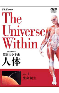 &nbsp;&nbsp;&nbsp; 驚異の小宇宙　人体　1　生命誕生 の詳細 発売元: NHKソフトウェア カナ: キョウイノショウウチュウジンタイ1セイメイタンジョウ / コイデゴロウ HISAISHI JOE ディスク枚数: 1枚 品...