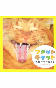 &nbsp;&nbsp;&nbsp; ファットキャット 単行本 の詳細 出版社: 日本出版社 レーベル: 作者: じゃんぼよしだ カナ: ファットキャット / ジャンボ　ヨシダ サイズ: 単行本 ISBN: 9784890489893 発売...