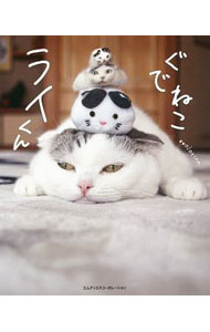 &nbsp;&nbsp;&nbsp; ぐでねこライくん 単行本 の詳細 出版社: エムディエヌコーポレーション レーベル: 作者: ojarinn カナ: グデネコライクン / オジャリン サイズ: 単行本 ISBN: 4844367314...