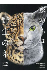 &nbsp;&nbsp;&nbsp; 家のネコと野生のネコ 単行本 の詳細 出版社: エクスナレッジ レーベル: 作者: 澤井聖一 カナ: イエノネコトヤセイノネコ / サワイセイイチ サイズ: 単行本 ISBN: 4767826509 発...