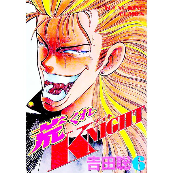 &nbsp;&nbsp;&nbsp; 荒くれKNIGHT 6 B6版 の詳細 出版社: 少年画報社 レーベル: ヤングキングコミックス 作者: 吉田聡 カナ: アラクレナイト / ヨシダサトシ サイズ: B6版 ISBN: 47859158...