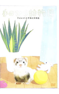 &nbsp;&nbsp;&nbsp; 手のひら動物園　フェレットと子猫と仲間達 の詳細 発売元: ビクターエンタテインメント カナ: テノヒラドウブツエンフェレットトコネコトナカマタチ / ソノタ ディスク枚数: 1枚 品番: VIBY50...