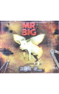 &nbsp;&nbsp;&nbsp; 【CD＋DVD】ホワット・イフ…　初回限定盤 の詳細 発売元: WHD　Entertainment アーティスト名: Mr．　Big カナ: ホワットイフショカイゲンテイバン / ミスタービッグ ディス...