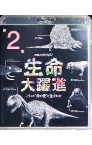 &nbsp;&nbsp;&nbsp; 【Blu−ray】NHKスペシャル　生命大躍進　第2集 の詳細 発売元: NHKエンタープライズ カナ: エヌエイチケースペシャルセイメイダイヤクシンダイ2シュウブルーレイディスク / ヨコヤママサル ...