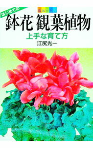 &nbsp;&nbsp;&nbsp; 鉢花観葉植物 単行本 の詳細 出版社: 家の光協会 レーベル: 園芸ライフ 作者: 江尻光一 カナ: ハチバナカンヨウショクブツ / エジリコウイチ サイズ: 単行本 ISBN: 4259536907 ...