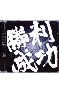 &nbsp;&nbsp;&nbsp; "勝利・成功" の詳細 発売元: HIRO−PROJECT アーティスト名: VIC：CESS カナ: ショウリセイコウ / ヴィクセス VIC:CESS ディスク枚数: 1枚 品番: HPRC0006...