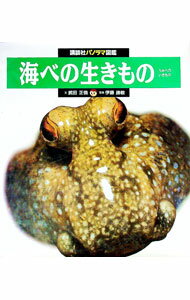 &nbsp;&nbsp;&nbsp; 海べの生きもの 単行本 の詳細 出版社: 講談社 レーベル: 講談社パノラマ図鑑 作者: 伊藤勝敏 カナ: ウミベノイキモノ / イトウカツトシ サイズ: 単行本 ISBN: 4062500337 発売...