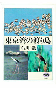 &nbsp;&nbsp;&nbsp; 東京湾の渡り鳥 単行本 の詳細 出版社: 晶文社 レーベル: 作者: 石川勉 カナ: トウキョウワンノワタリドリ / イシカワツトム サイズ: 単行本 ISBN: 4794961200 発売日: 199...