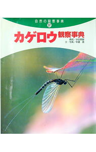 &nbsp;&nbsp;&nbsp; "カゲロウ観察事典 " の詳細 出版社: 偕成社 レーベル: 自然の観察事典 作者: 中瀬潤 カナ: カゲロウカンサツジテン / ナカセジュン サイズ: 単行本 関連商品リンク : 中瀬潤 偕成社 自然...