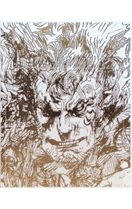 &nbsp;&nbsp;&nbsp; 【Blu−ray】『ZIPANG　PUNK?五右衛門ロックIII』−special　edition−　DVD付 の詳細 発売元: ヴィレッヂ カナ: ジパングパンクゴエモンロック3スペシャルエディション...