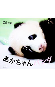 &nbsp;&nbsp;&nbsp; もふもふあかちゃんパンダ 単行本 の詳細 出版社: 講談社 レーベル: 講談社の幼児えほん 作者: 神戸万知 カナ: モフモフアカチャンパンダ / ゴウドマチ サイズ: 単行本 ISBN: 406199...