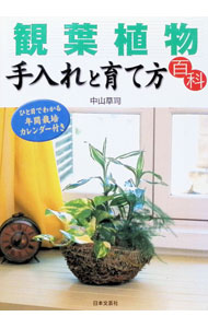 &nbsp;&nbsp;&nbsp; 観葉植物手入れと育て方百科 単行本 の詳細 出版社: 日本文芸社 レーベル: 作者: 中山草司 カナ: カンヨウショクブツテイレトソダテカタヒャッカ / ナカヤマソウシ サイズ: 単行本 ISBN: 4...
