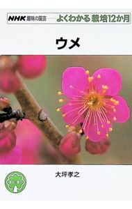 &nbsp;&nbsp;&nbsp; ウメ 単行本 の詳細 出版社: 日本放送出版協会 レーベル: NHK趣味の園芸 作者: 大坪孝之 カナ: ウメ / オオツボタカユキ サイズ: 単行本 ISBN: 4140401834 発売日: 200...