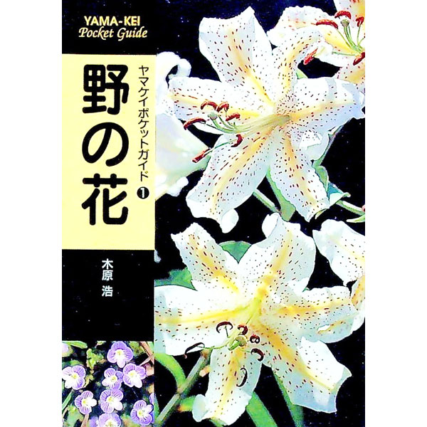 &nbsp;&nbsp;&nbsp; 野の花 文庫 の詳細 出版社: 山と渓谷社 レーベル: ヤマケイポケットガイド 作者: 木原浩 カナ: ノノハナ / キハラヒロシ サイズ: 文庫 ISBN: 4635062112 発売日: 1999/...