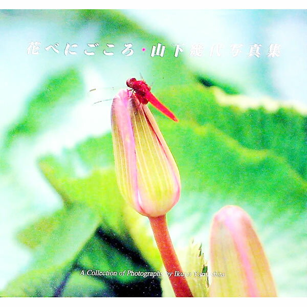 &nbsp;&nbsp;&nbsp; 花べにごころ 単行本 の詳細 出版社: 遊人工房 レーベル: 作者: 山下幾代 カナ: ハナベニゴコロ / ヤマシタイクヨ サイズ: 単行本 ISBN: 4946562621 発売日: 2003/10/...