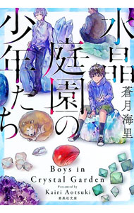 &nbsp;&nbsp;&nbsp; 水晶庭園の少年たち 文庫 の詳細 出版社: 集英社 レーベル: 集英社文庫 作者: 蒼月海里 カナ: スイショウテイエンノショウネンタチ / アオツキカイリ サイズ: 文庫 ISBN: 40874581...