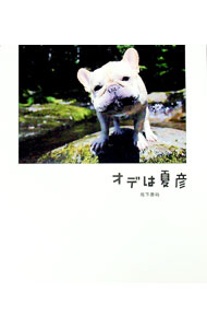 &nbsp;&nbsp;&nbsp; オデは夏彦 単行本 の詳細 出版社: オークラ出版 レーベル: 作者: 坂下康裕 カナ: オデワナツヒコ / サカシタヤスヒロ サイズ: 単行本 ISBN: 9784775511428 発売日: 200...
