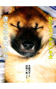 &nbsp;&nbsp;&nbsp; ねだんのつかない子犬　きららのいのち 単行本 の詳細 出版社: 岩崎書店 レーベル: 作者: 今西乃子 カナ: ネダンノツカナイコイヌキララノイノチ / イマニシノリコ サイズ: 単行本 ISBN: 4...