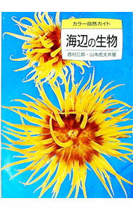 &nbsp;&nbsp;&nbsp; 海辺の生物 文庫 の詳細 出版社: 保育社 レーベル: 作者: 西村三郎／山本虎夫 カナ: ウミベノセイブツ / ニシムラサブロウ サイズ: 文庫 ISBN: 458640017X 発売日: 1974/...