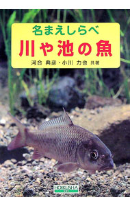 &nbsp;&nbsp;&nbsp; "川や池の魚 " の詳細 出版社: 保育社 レーベル: 作者: 河合典彦 カナ: カワヤイケノサカナ / カワイノリヒコ サイズ: 単行本 関連商品リンク : 河合典彦 保育社
